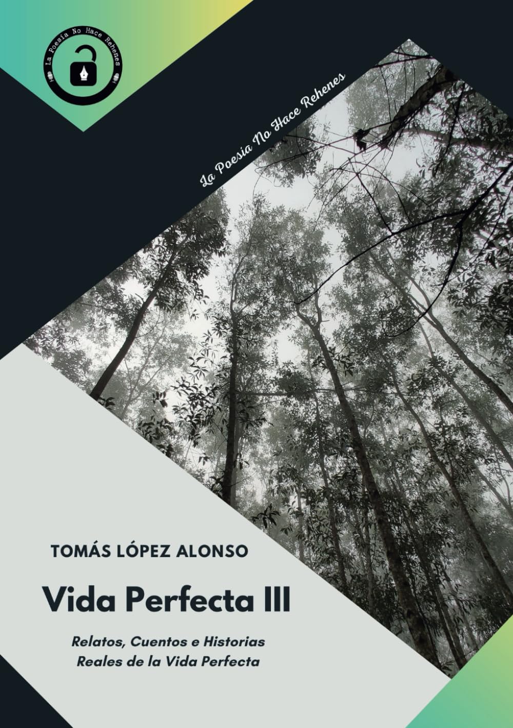 VIDA PERFECTA III: RELATOS, CUENTOS E HISTORIAS REALES DE LA VIDA ...