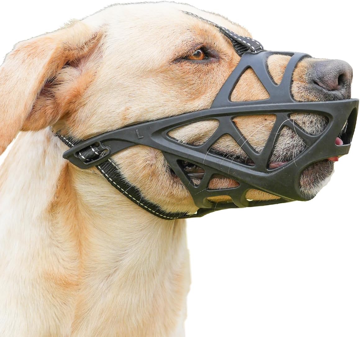 Amazon.com : Dog Muzzle，Anti Biting and Stop Chewing，Drinking and ...