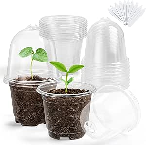 Amazon.com: homenote Clear Nursery Pots for Plants with Humidity Domes ...