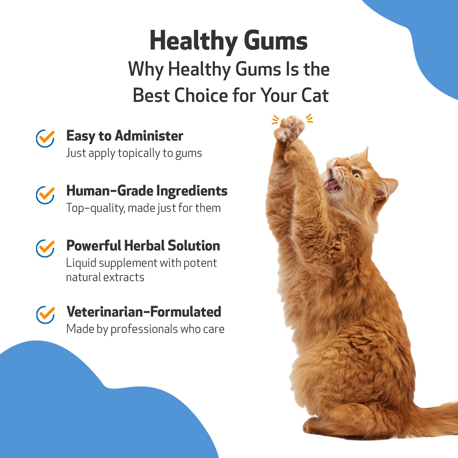 Healthy Cat Gums