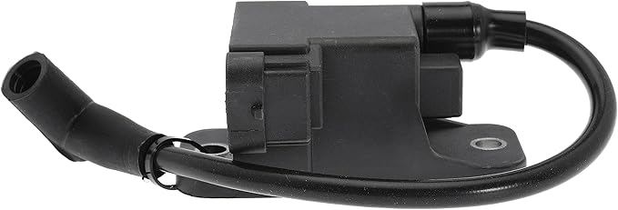 Amazon.com: Outboard Ignition Coil CDM Module For Mercury For ...