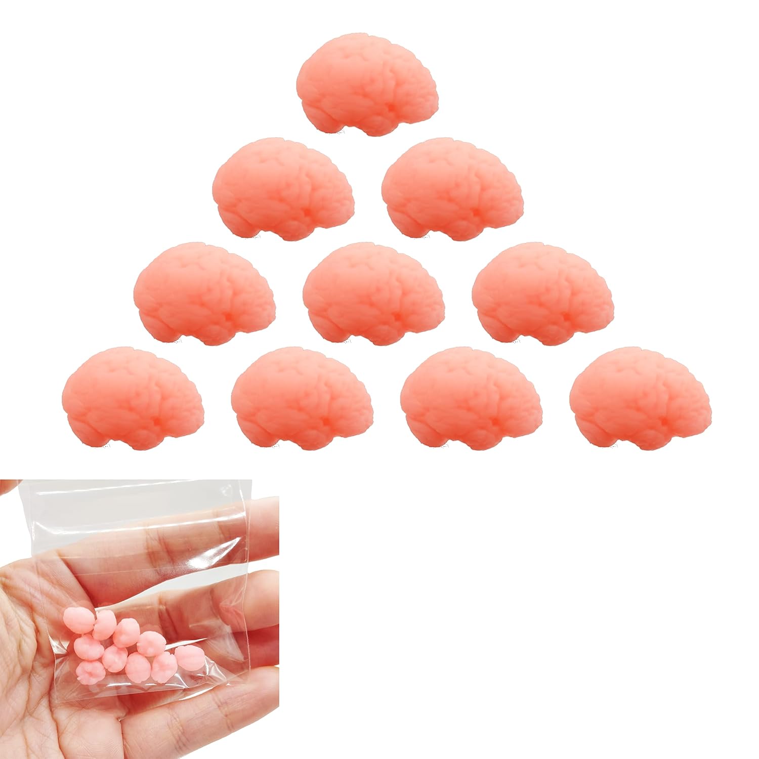 Amazon.com: Miniature Human Brain Replica - 1:24 Scale for dollhouse ...