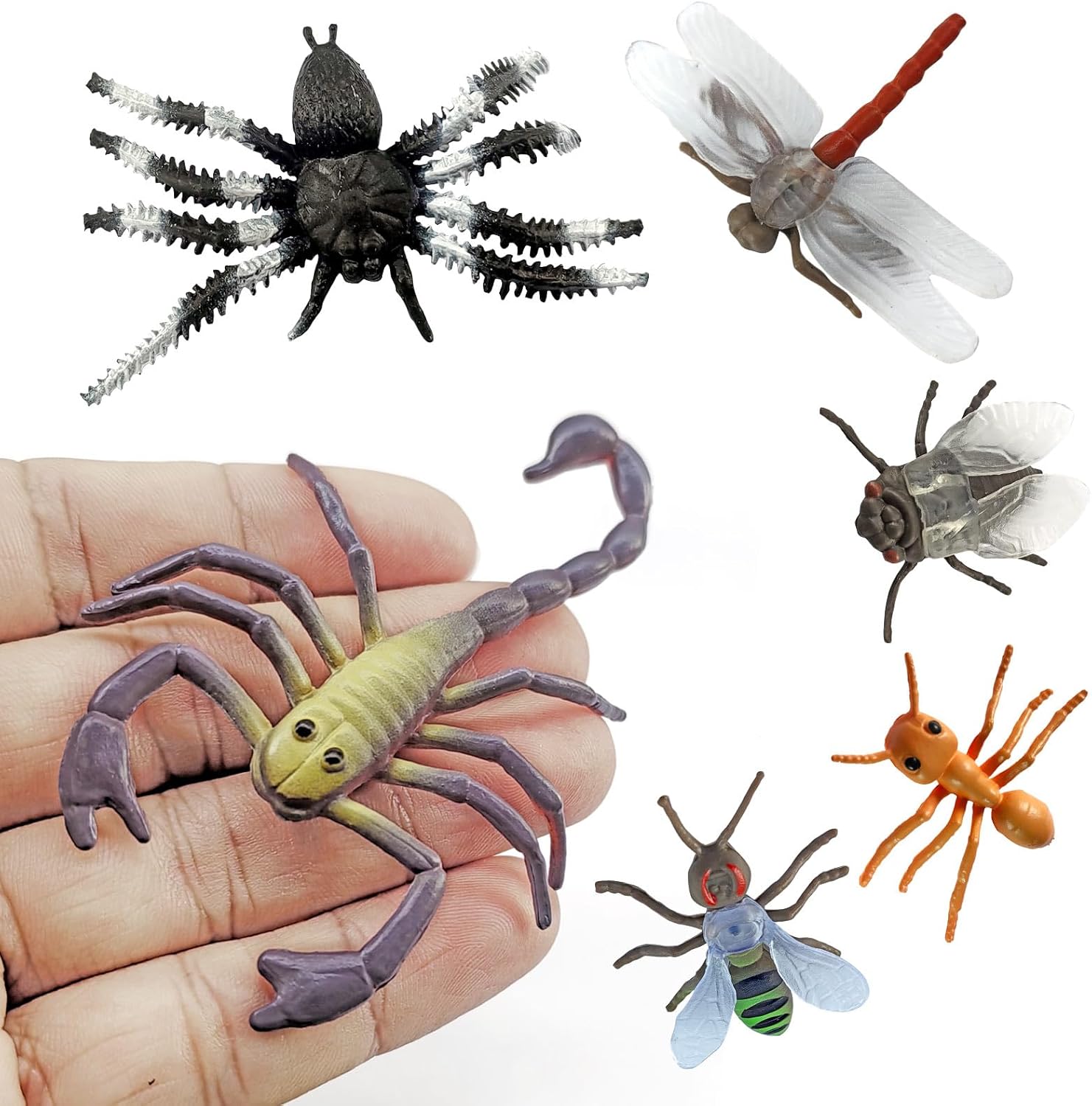 Amazon.com: BEINME 6 Piece Insect Toys Simulation Plastic Insect Model ...