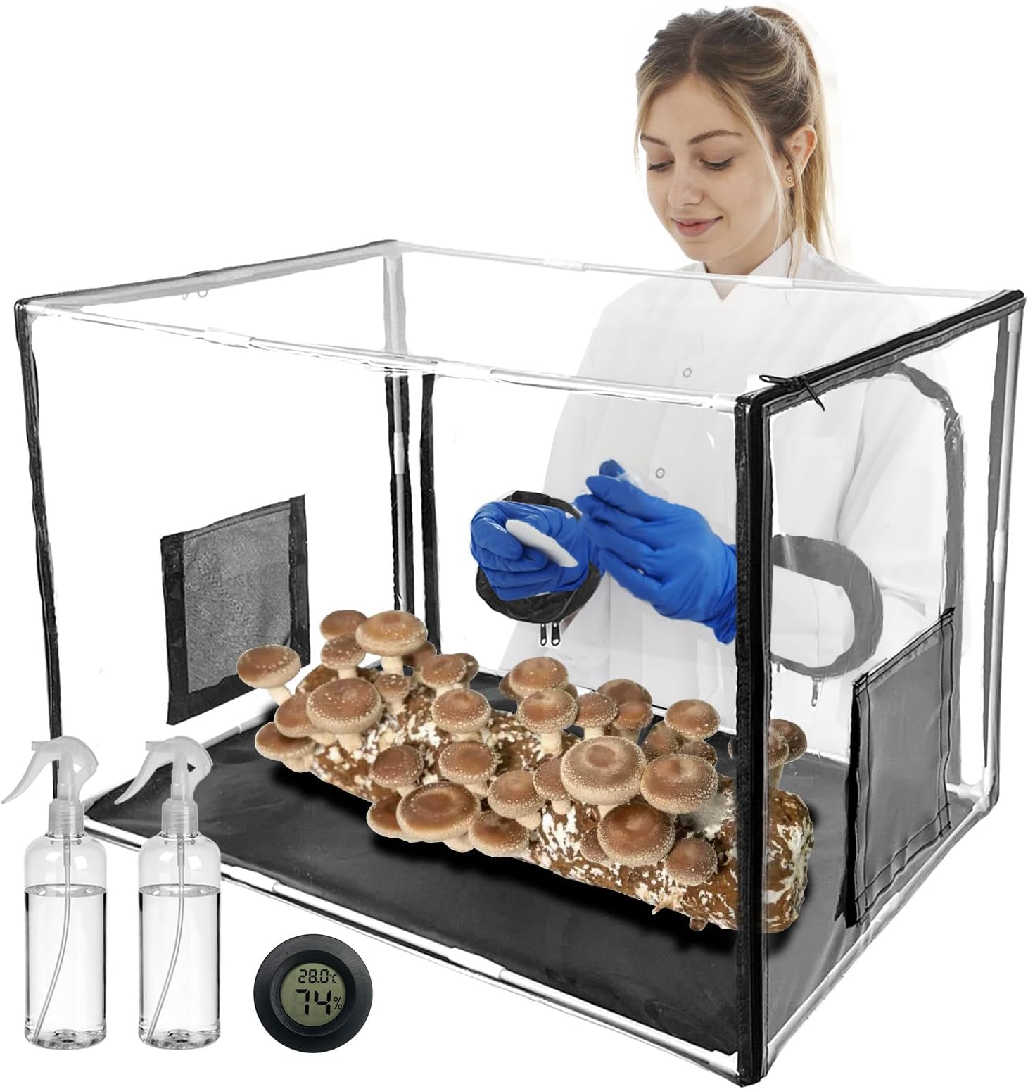 Amazon.com : Large Mushroom Growing Kit, Still Air Box, Mycology ...
