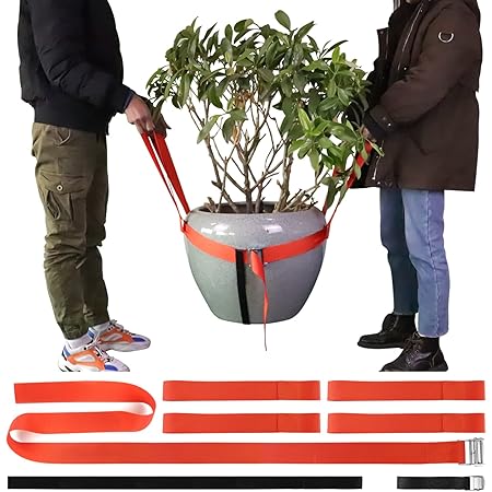 Amazon.com: Potwheelz - Plant and Pot Mover with Fold Down Handle ...