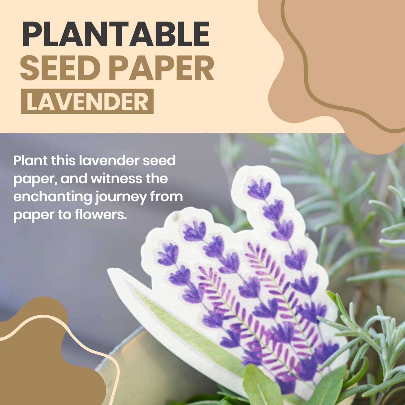 Plantable Seed Paper Flower Rahway's Grover Cleveland Elementary