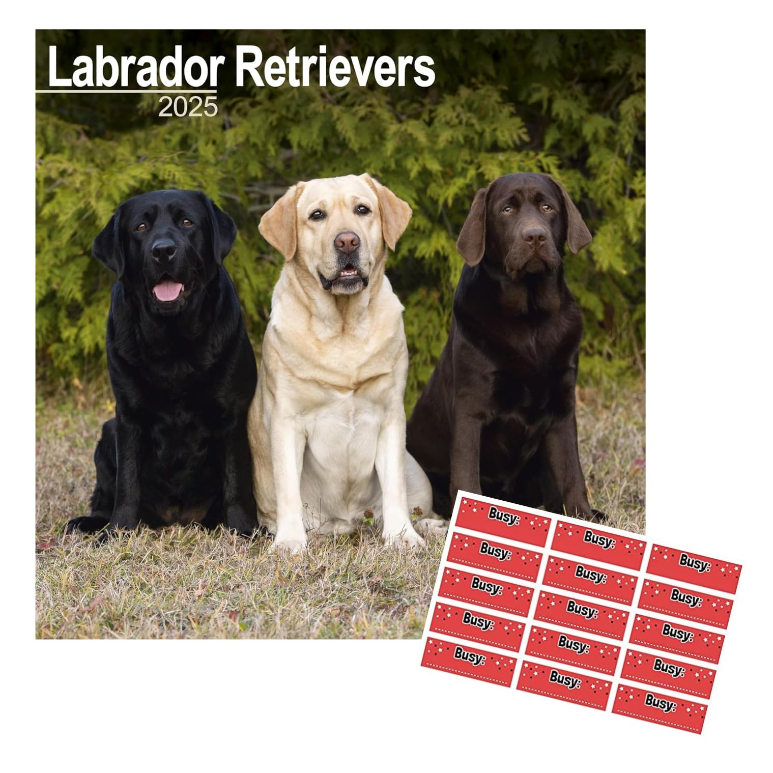 Labrador Retrievers Calendar 2025 | 16 months | with FREE ...