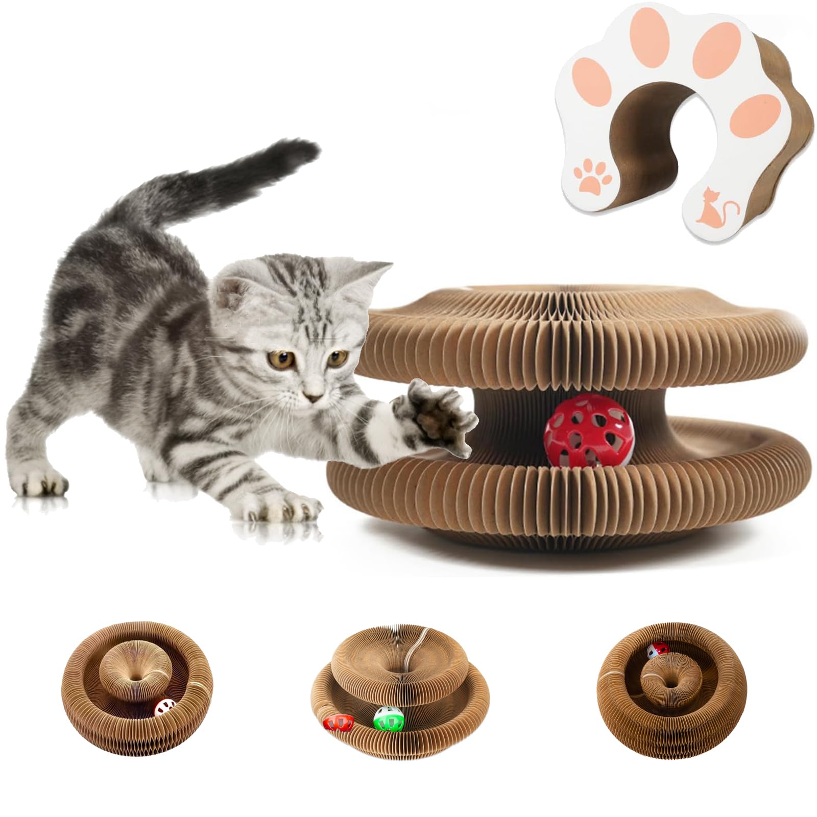Amazon.com : Kitty Kurlz Cat Toy, Magic Organ Cat Scratch Board ...