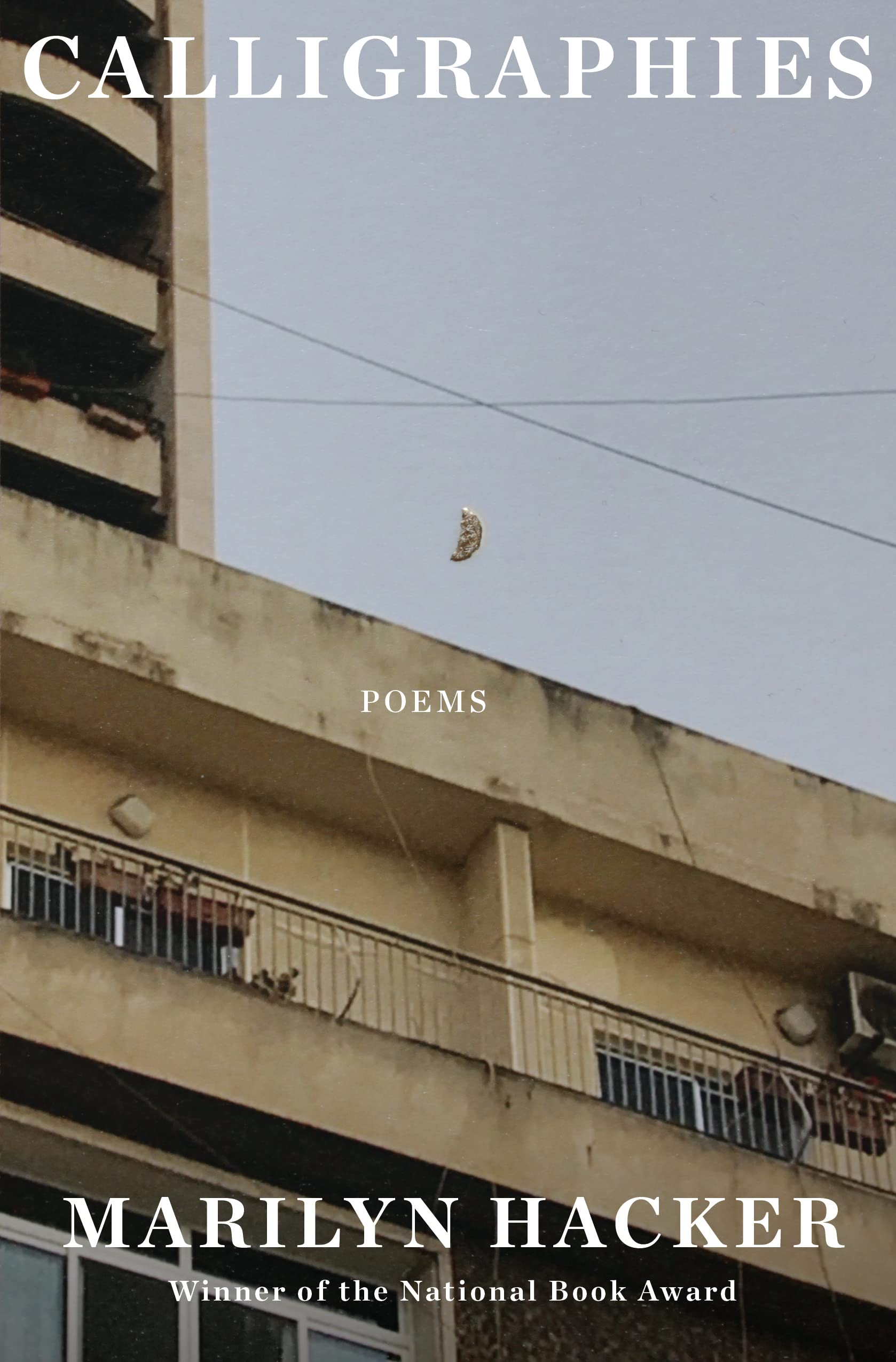 Calligraphies: Poems: Hacker, Marilyn: 9781324036463: Amazon.com: Books