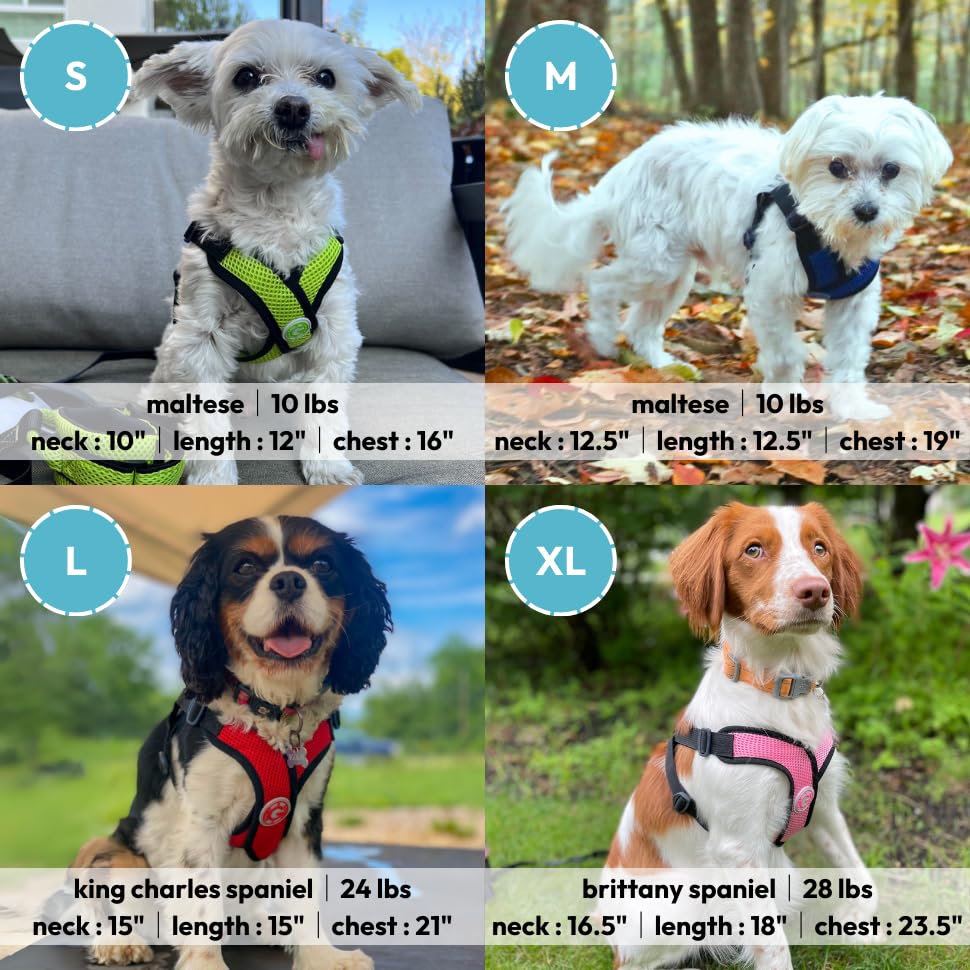 Snapklik.com : Comfort X Step In Harness - Black, Small - No Pull Small ...