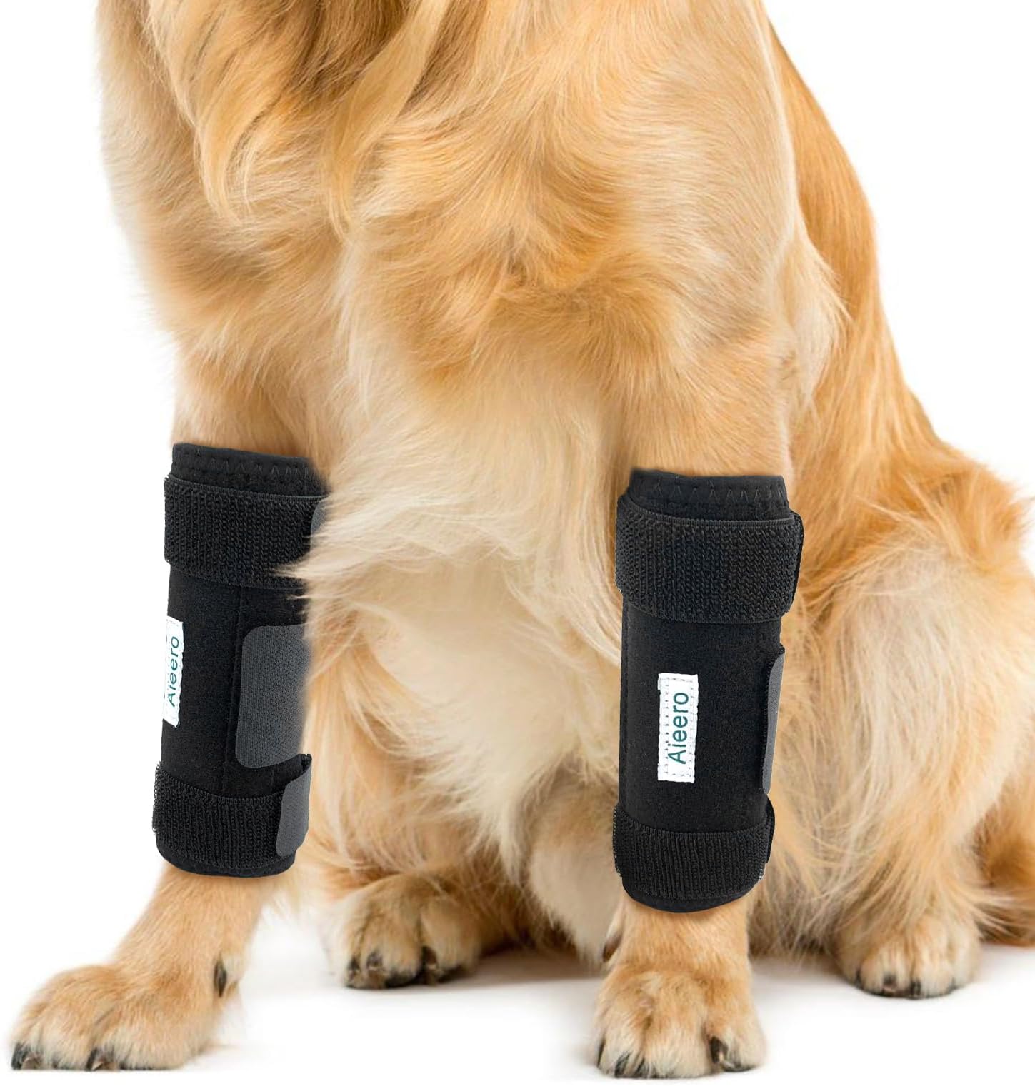 Amazon.com : JOROBURO 2PCS Set Pet Kneepad, Blue Polyester Cotton Pet ...