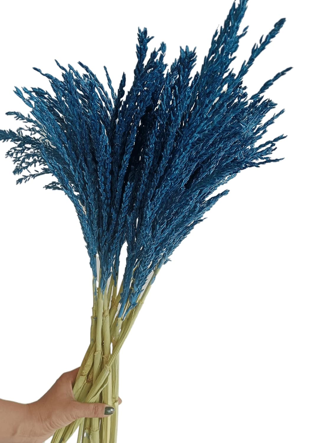 Buy RUKDA® Dried Flower Sheaves | Decoration Dried Flower Sheaves ...