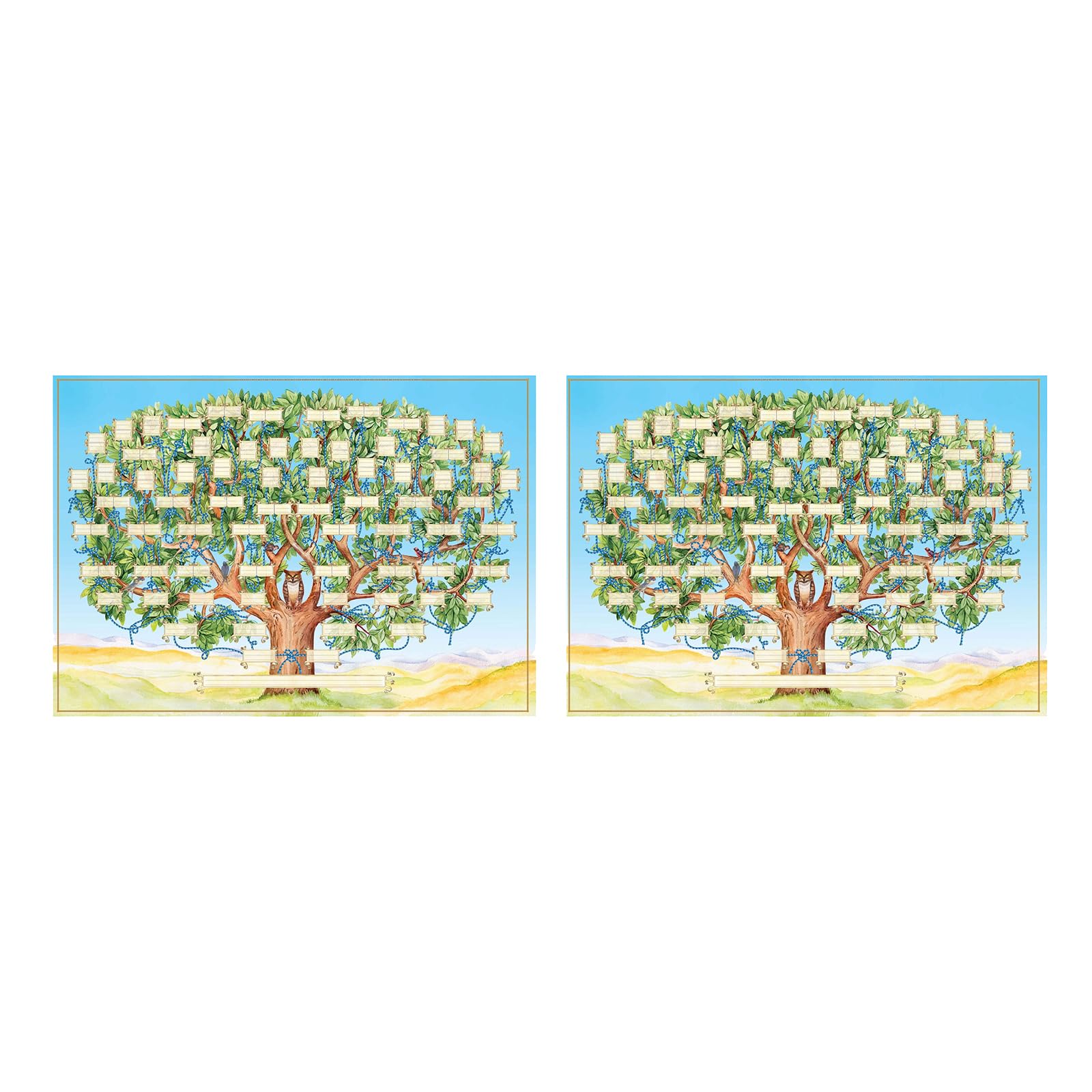 Amazon.com: 2PCS Family Tree Chart to Fill in, 15.75x23.62in, 6 ...