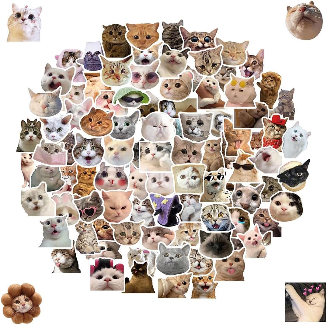 cobee Funny Cat Stickers Set, 50 Pieces, Cute Cat Stickers, Waterproof ...