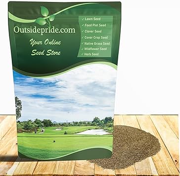 Amazon.com : Outsidepride V8 Creeping Bentgrass Seed - 1 lb Fine-Bladed ...