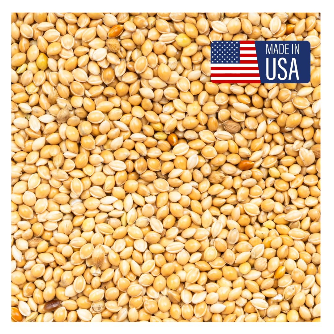 Amazon.com : Brownie Brand White Proso Millet Seed for Bird Feeder ...