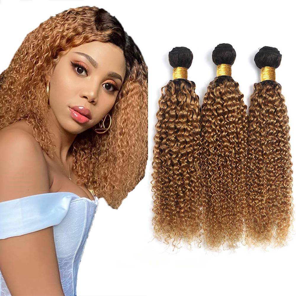Amazon.com : Honey Blonde Bundles Kinky Curly Bundles 1b27 Bundles ...