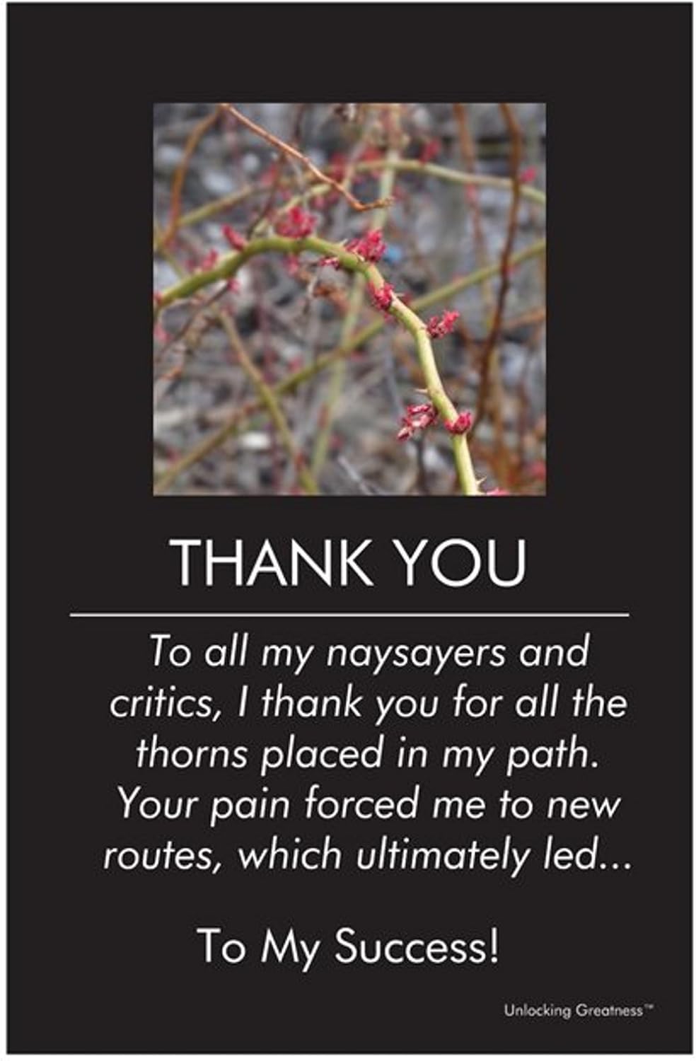 Amazon.com: Unlocking Greatness Motivational Thank You Naysayers and ...
