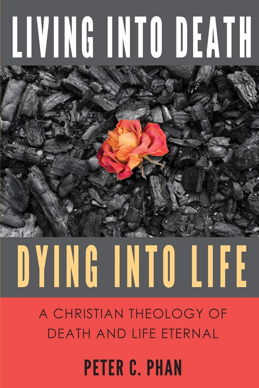 Living Into Death, Dying Into Life: A Christian Theology of Death and ...