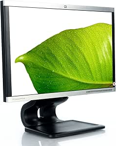 Amazon.com: HP LA1905WG 19-INCH LCD Monitor. : Electronics
