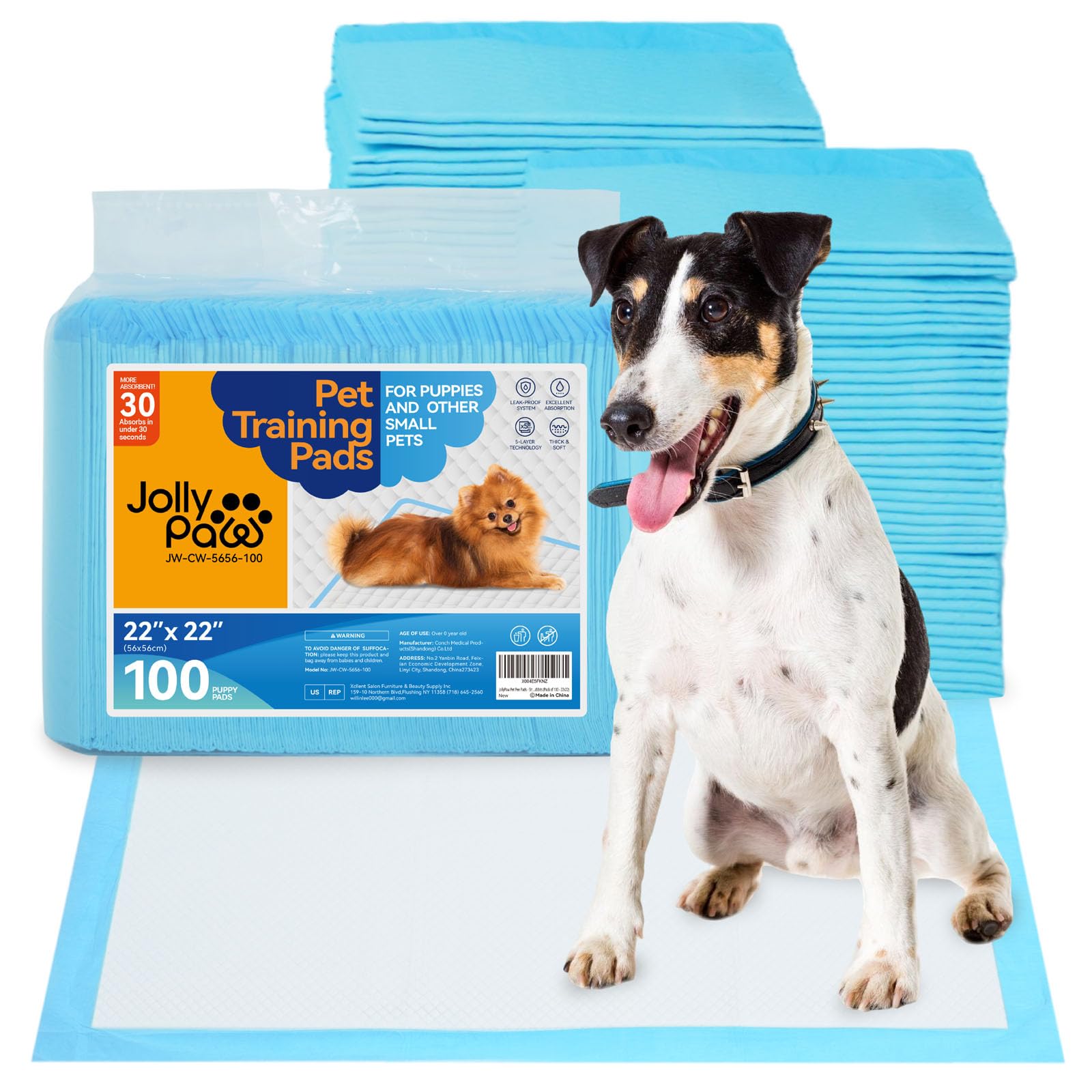Amazon.com: Pet Pee Pads - Strong Absorption& Leak-Proof for Dogs ...