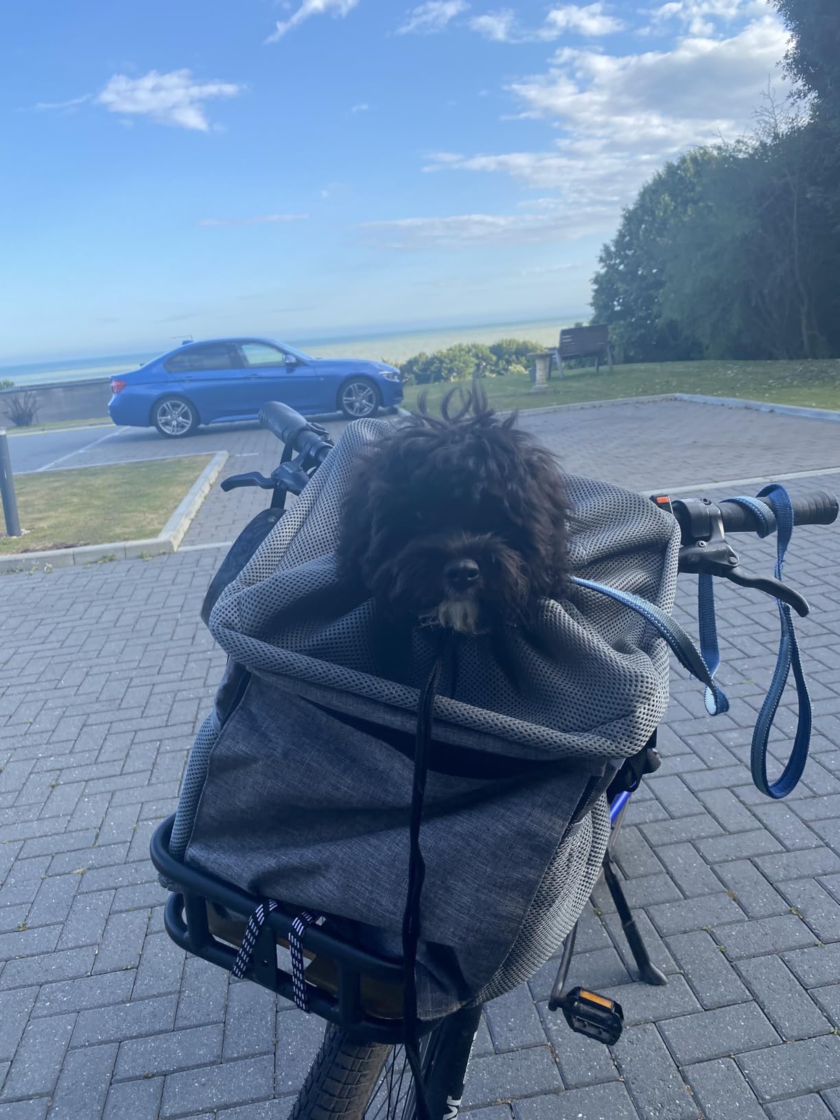 Navaris Dog Carrier Backpack at Linda Siddiqui blog