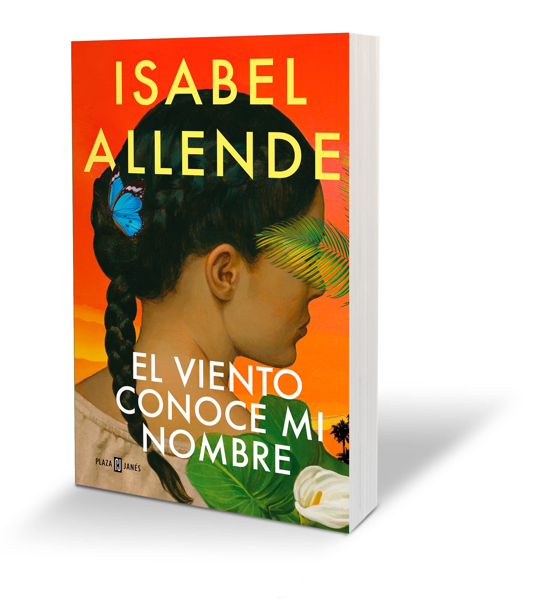 Amazon.com: El viento conoce mi nombre: 9786073832335: Isabel Allende ...