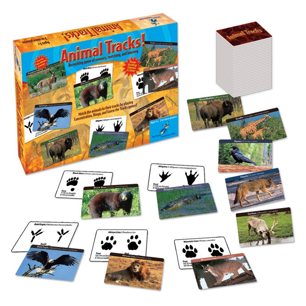 Amazon.com: The Young Scientists Club Animal Tracks Game, At-Home STEM ...
