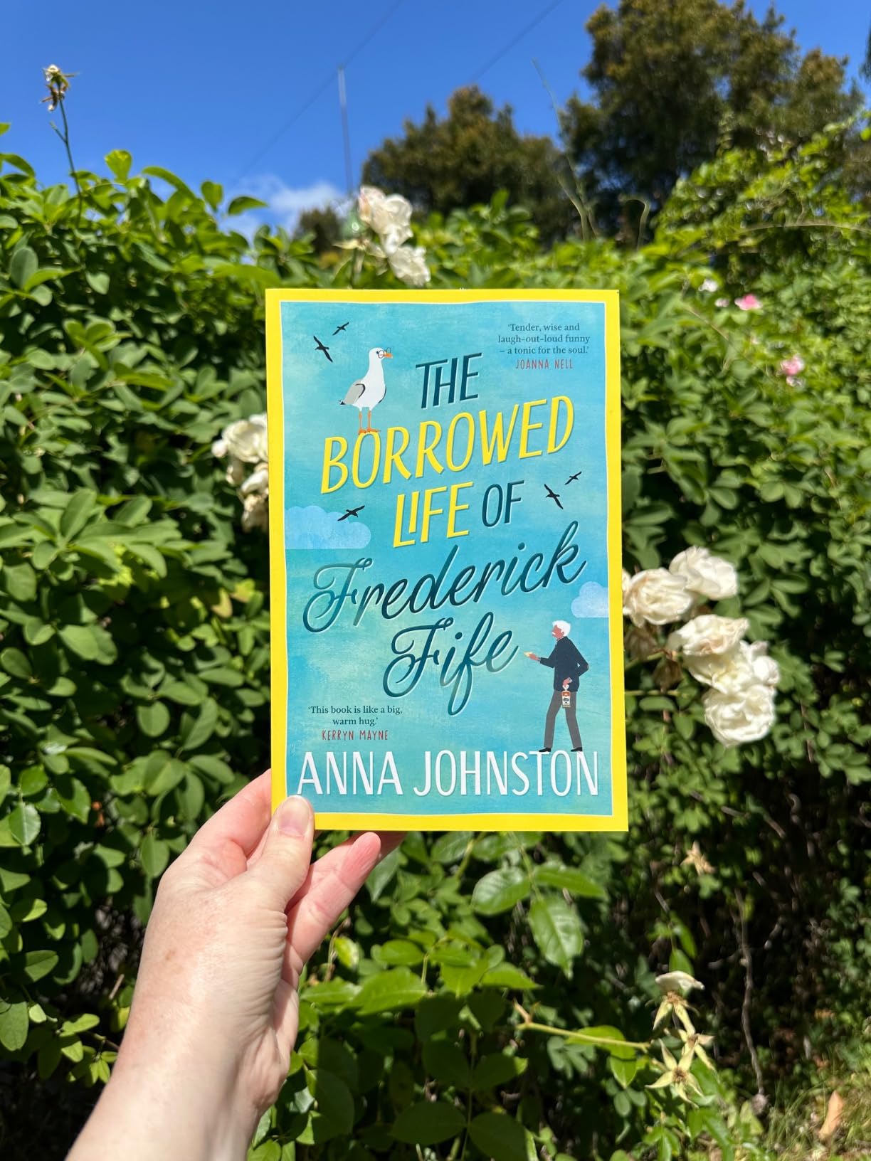 The Borrowed Life of Frederick Fife eBook : Johnston, Anna: Amazon.com ...