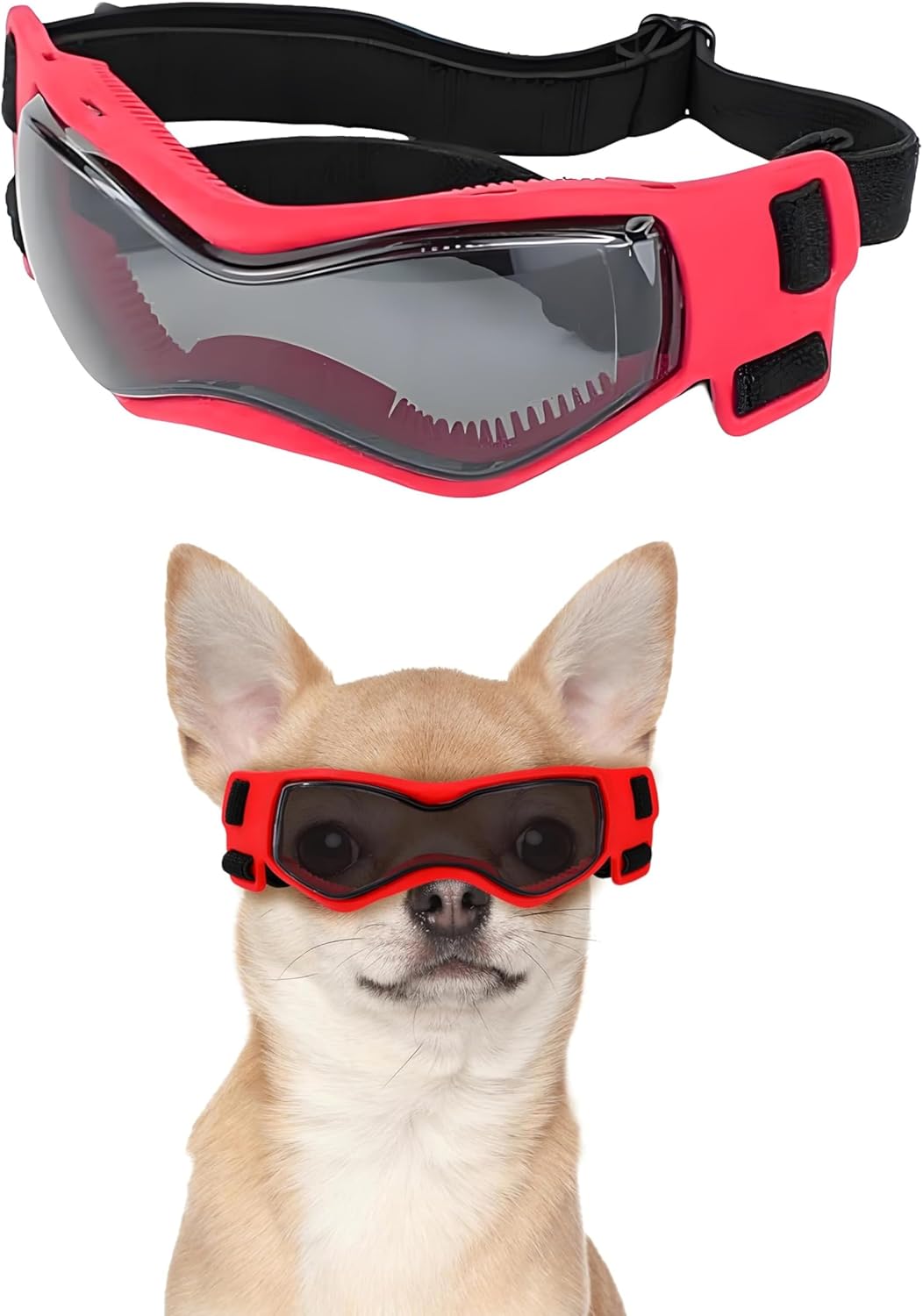 Amazon.com : Kagoty Small Dog Goggles Small Breed, Small Dog Sunglasses ...