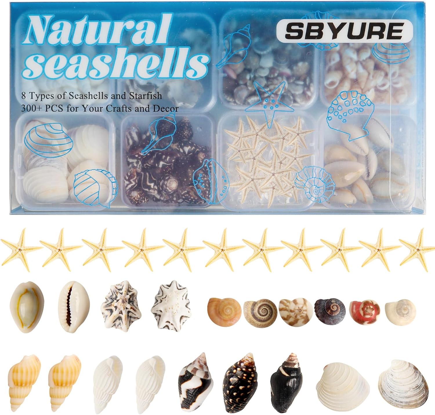 Amazon.com: SBYURE Tiny Seashell Mixed, Including Sea Shells, Starfish ...