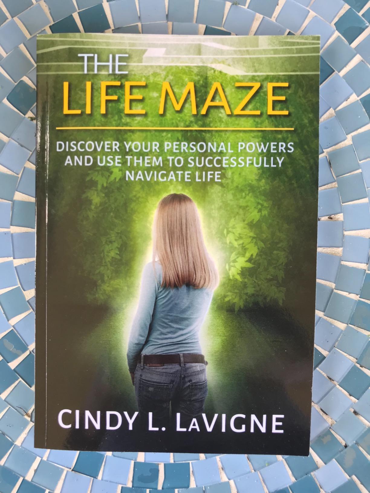 The Life Maze: LaVigne, Cindy L.: 9781732293304: Amazon.com: Books