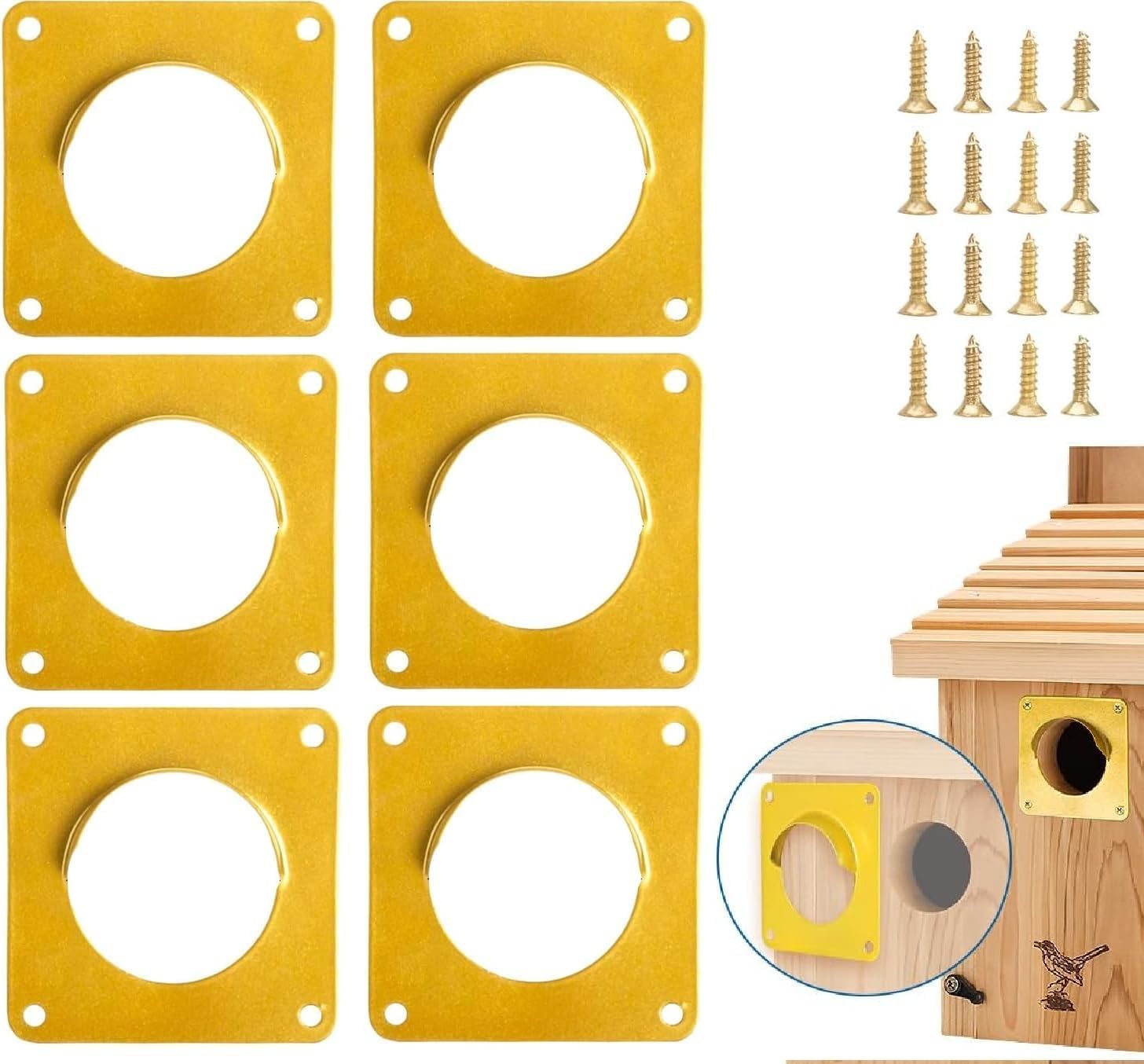 Amazon.com: Audubon Entities, Inc. Bird Guardian Birdhouse Protector ...