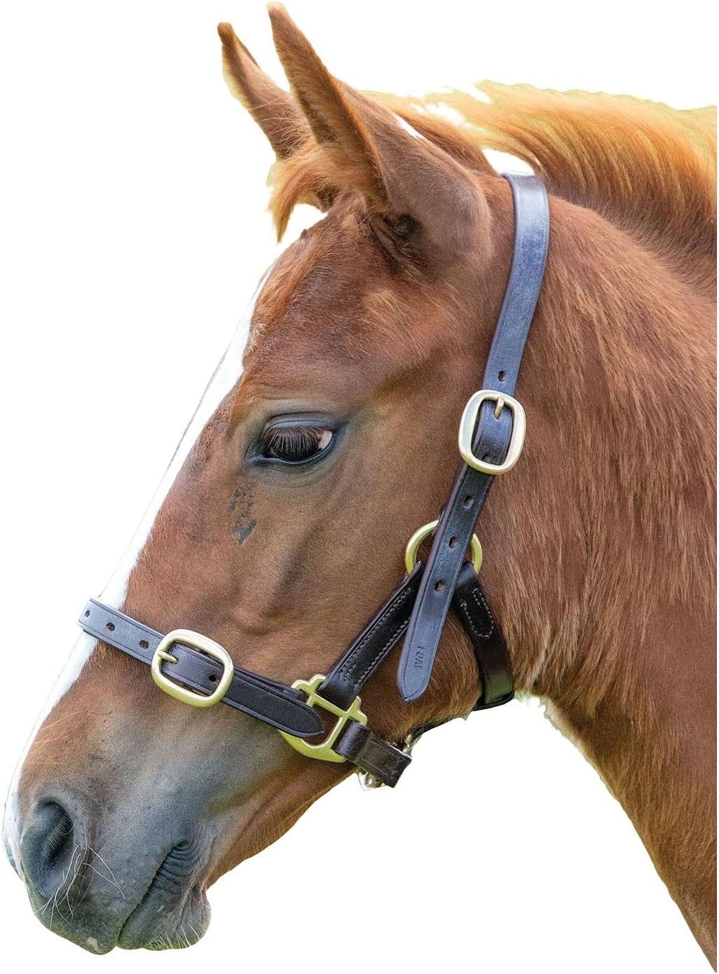 Shires Blenheim Adjustable Leather Headcollar - Havana Yearling ...
