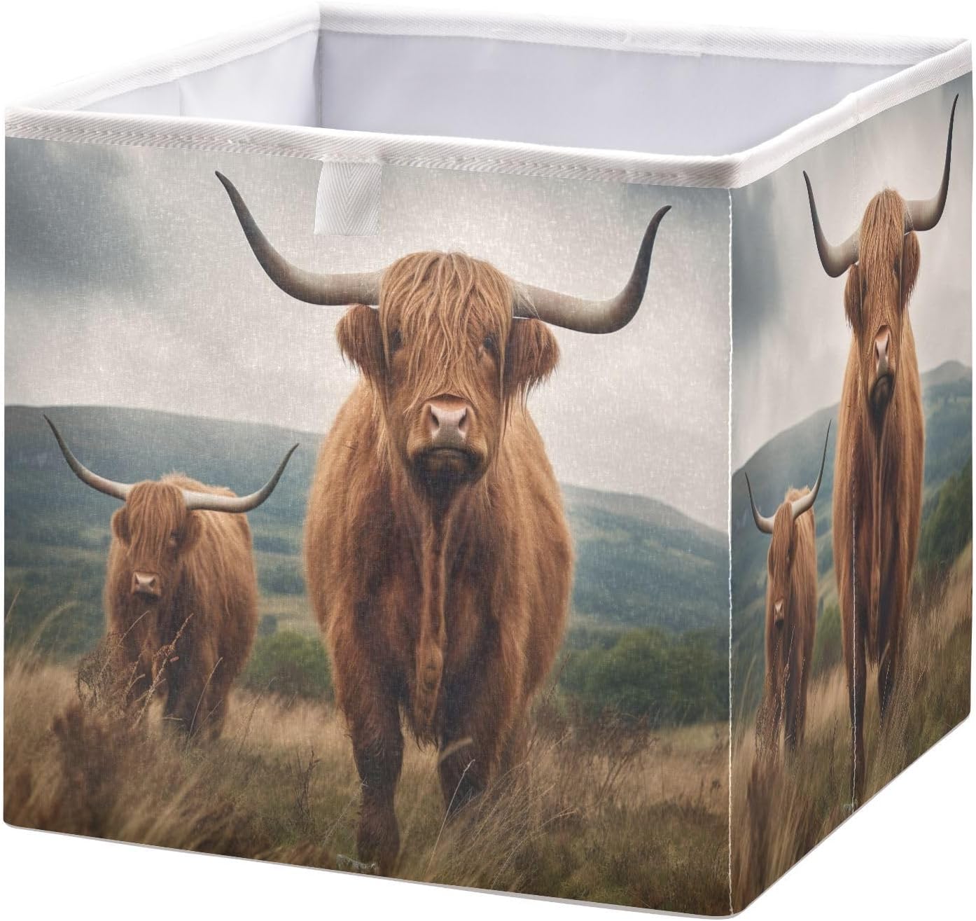 Amazon.com: Two Highland Cows Cube Storage Bin Fabric Storage Cubes ...