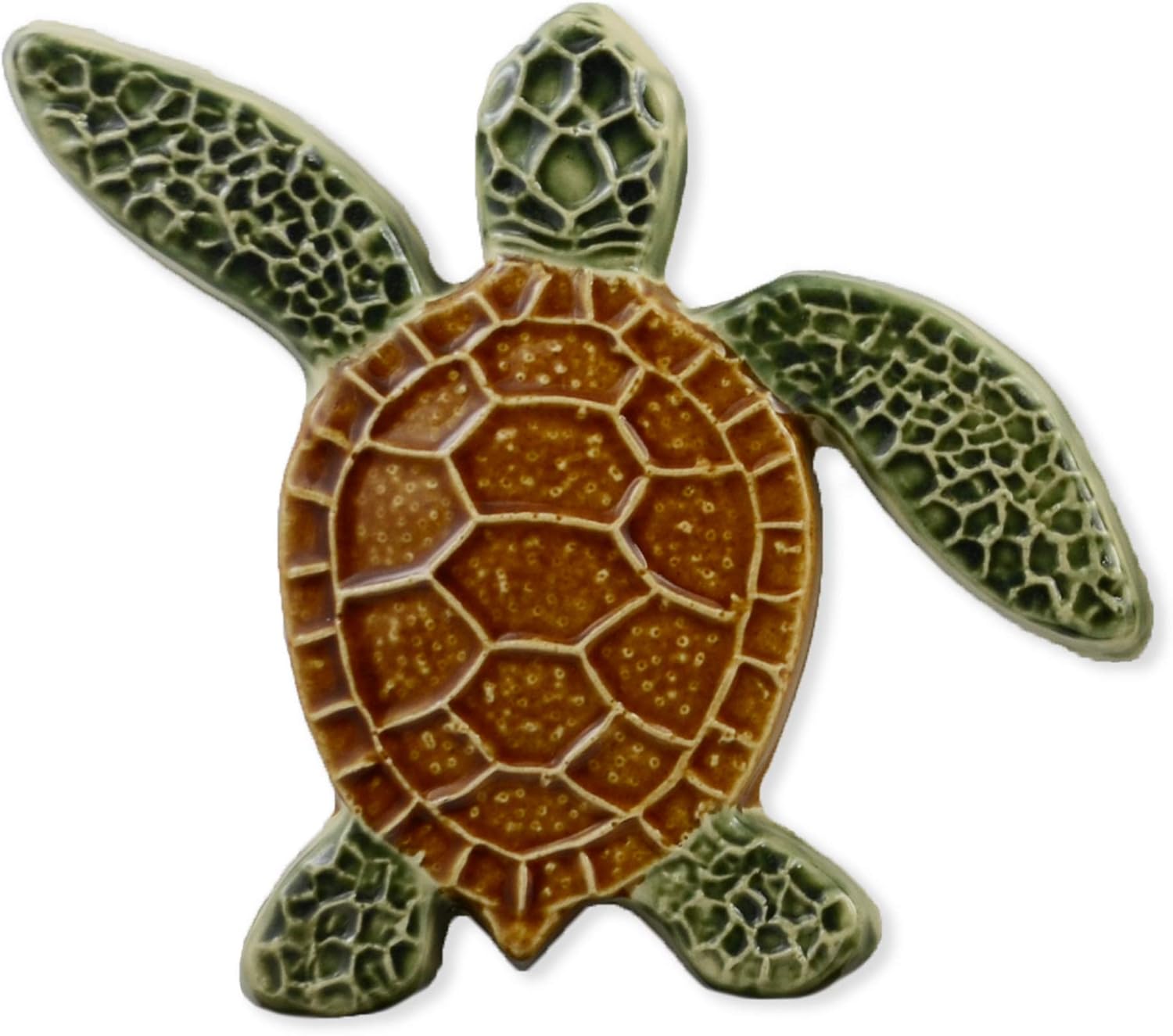 Turtle Pool Accent Tile - Natural (Left Flipper Up) - Amazon.com