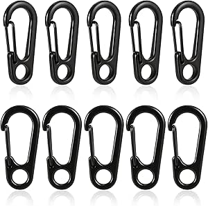 Amazon.com: 10 Pcs Mini Carabiner, Small Carabiner Clip Tiny Alloy ...