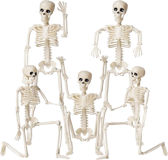 Amazon.com: Halloween Skeletons Decorations, 16" Posable Plastic ...