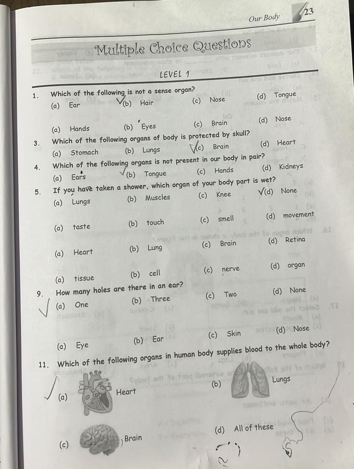 Buy Olympiad Champs General Knowledge Class 2 with Past Olympiad ...