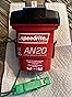 Amazon.com : Speedrite AN20 Battery Fence Energizer, 0.04 Joule ...