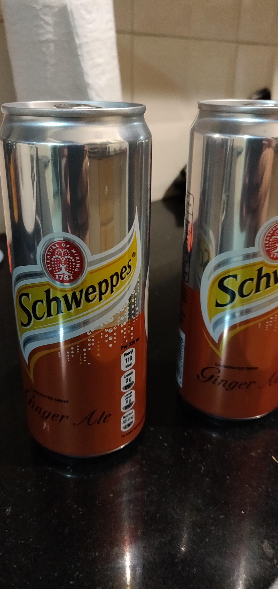 Dry Ginger Ale Can (Imported), 320ml,(Pack of 4) + Food Library Roasted ...