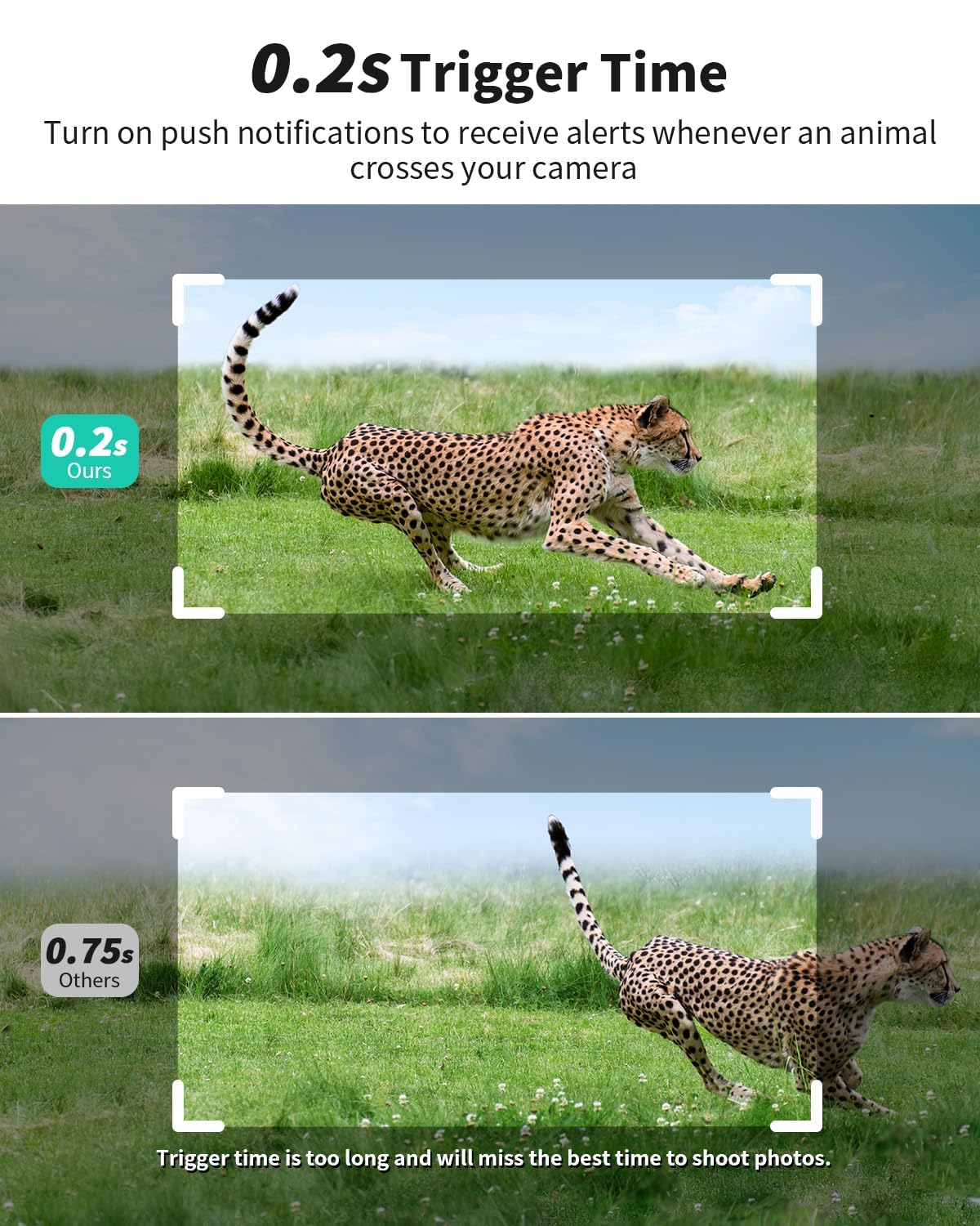 Snapklik.com : Cellular Trail Camera 4G LTE Include SD&SIM Card, 3rd ...