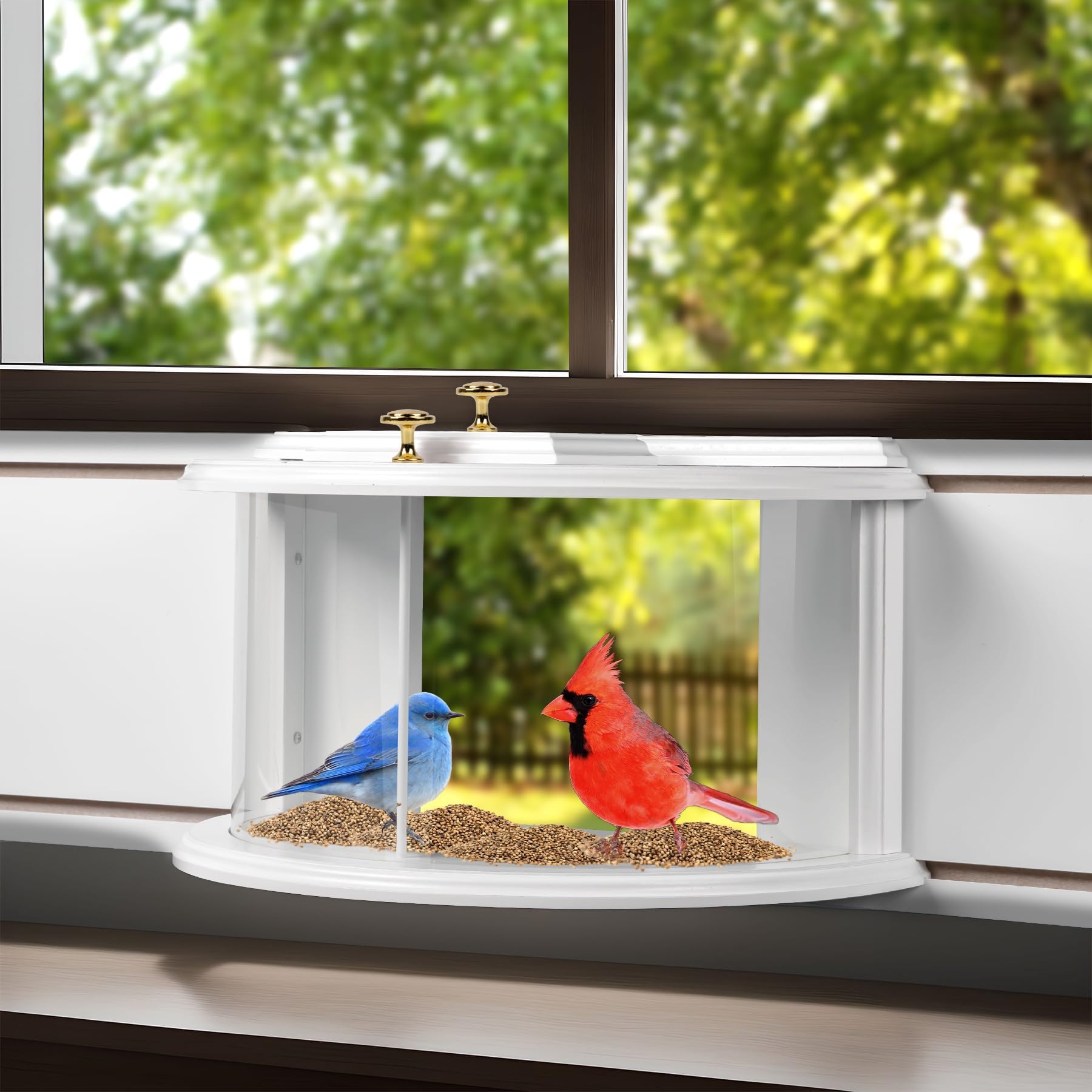 Amazon.com : BAIAPEY in Window Bird Feeders for Viewing - 180° Clear ...