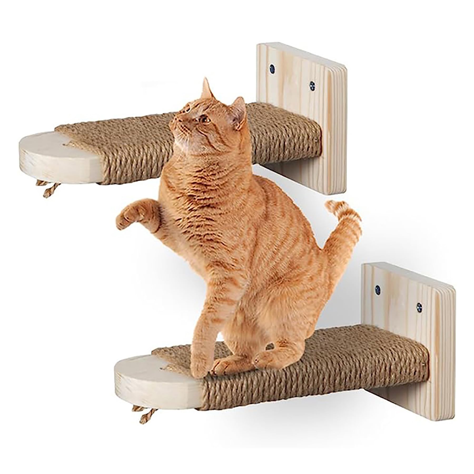 Amazon.com : Cat Climbing Shelf Wall Mounted, 2 Step Cat Stairway with ...