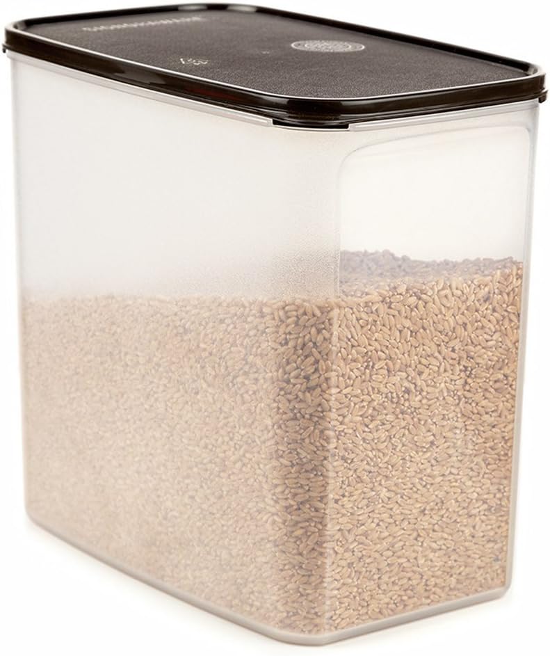 Plastic Storage Containers, 10 Liters, 2-Piece, Clear and Blue : Amazon ...