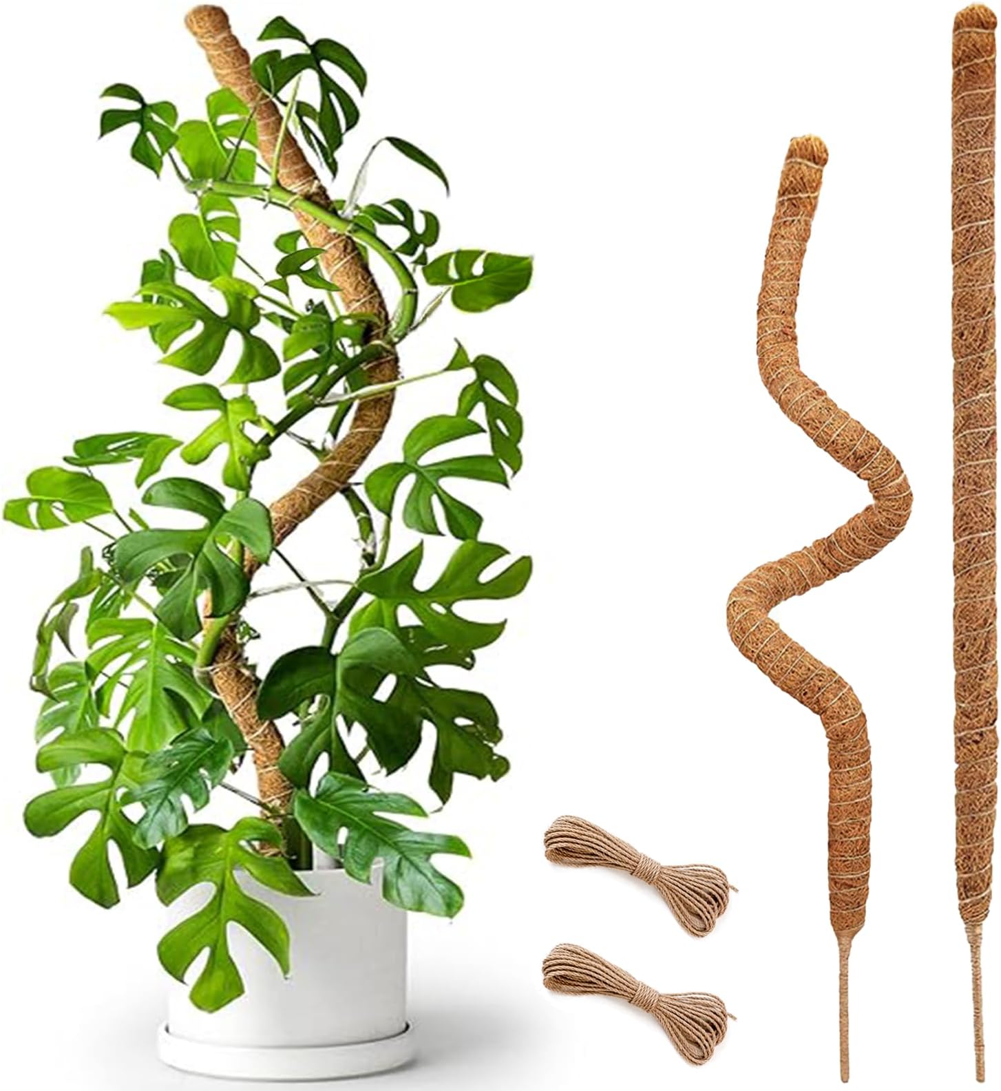 Amazon.com : 2 Pack Moss Pole for Plants Monstera - 60 Inch Moss Poles ...