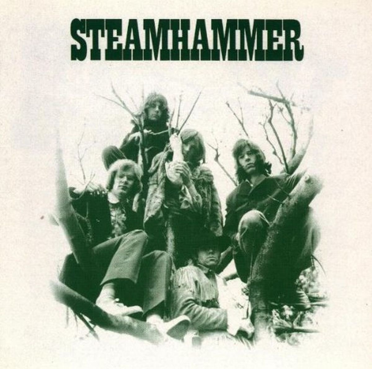 Steamhammer: Amazon.de: Musik-CDs & Vinyl
