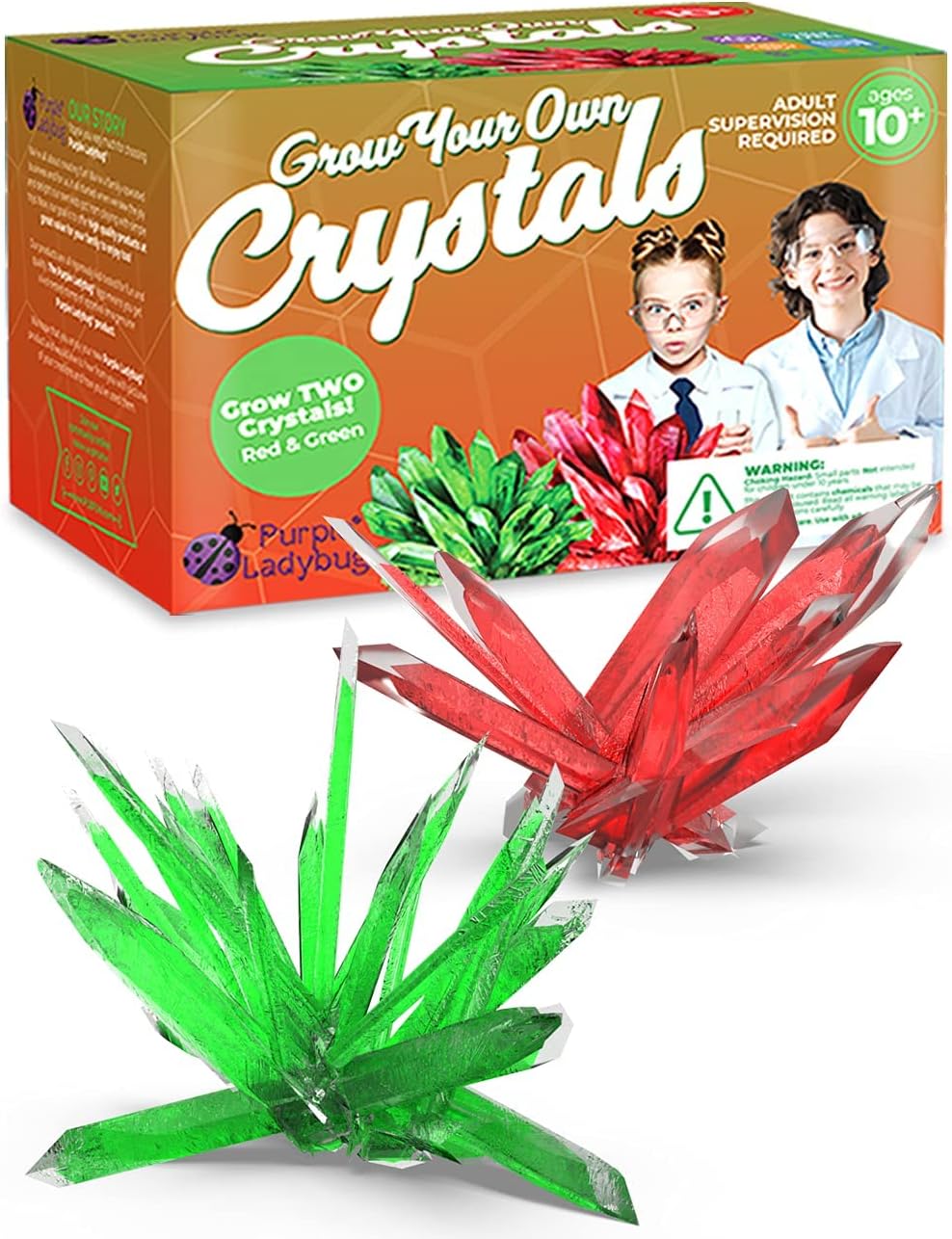 Amazon.com: Purple Ladybug Crystal Growing Kit for Kids - Grow 2 Large ...