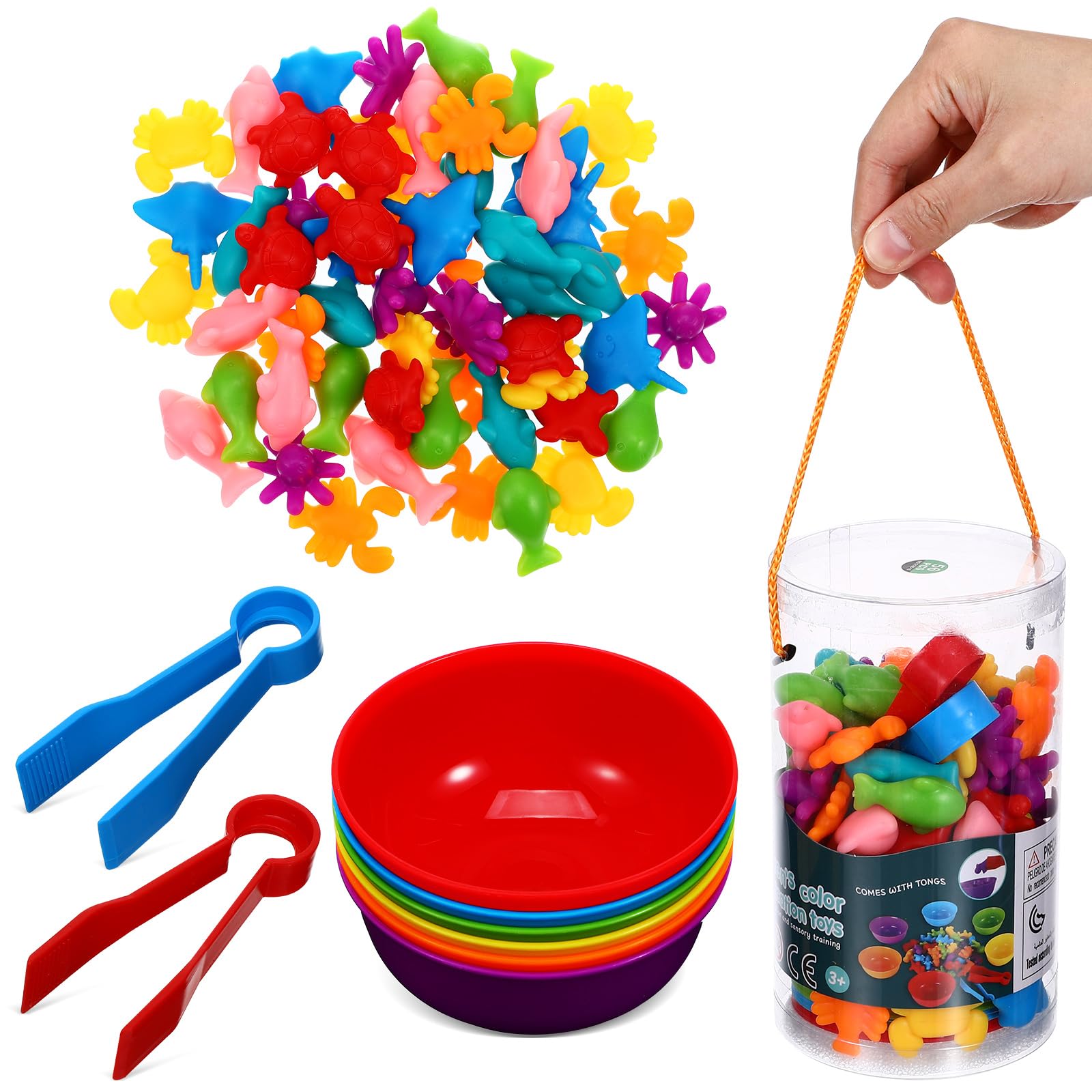JOINPAYA 56Pcs Color Classification Plaything: Montessori Color Sorting ...