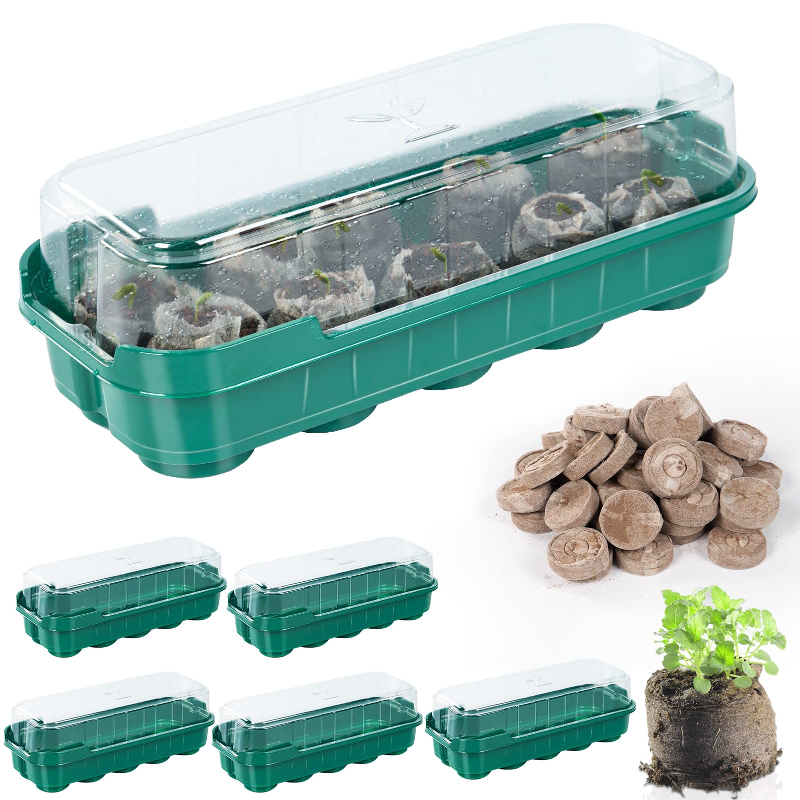 Snapklik.com : Bigmeta 6 Pack Seed Starter Kit- 60 Cells Adjustable ...
